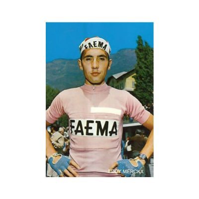 Faema Eddy Merckx Cycling Cap Red/White l Mr Cycling World